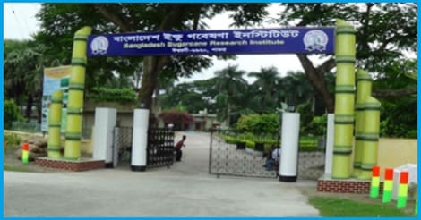 Bangladesh Sugarcrop Research Institute BSRI Job Circular – bsri.gov.bd